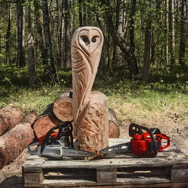 Echo carving chainsaw store